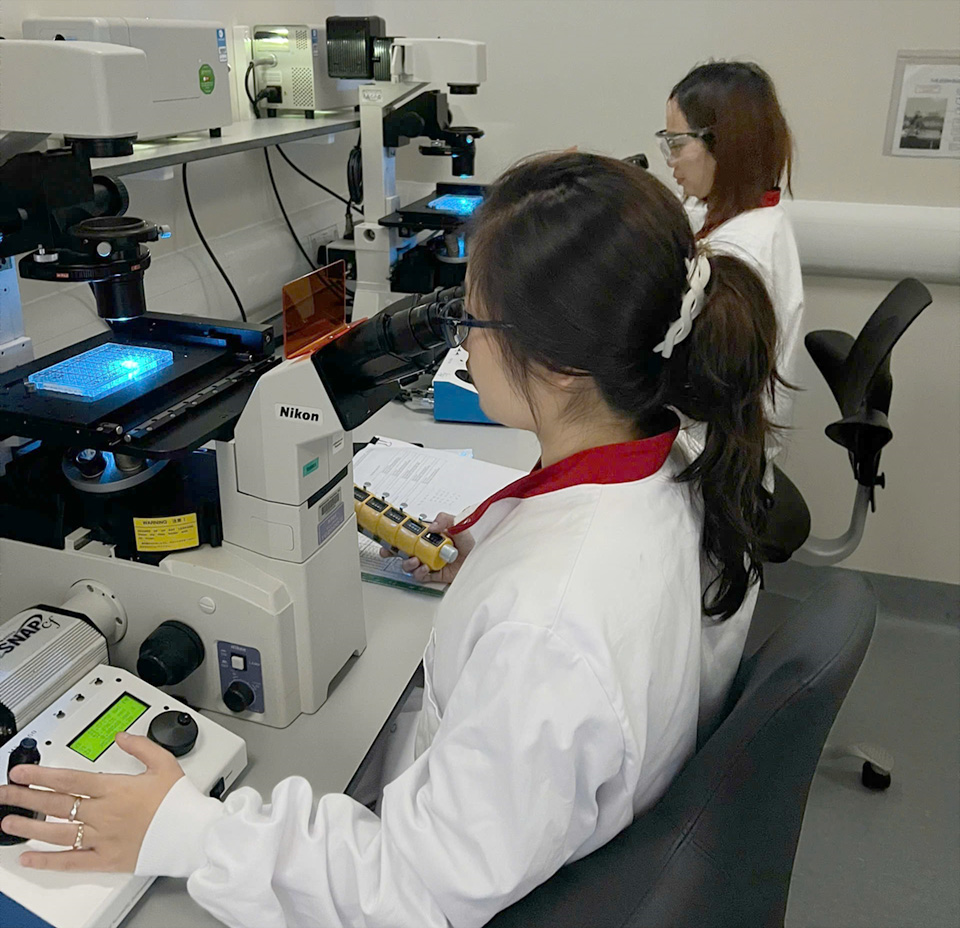 Transfer of quality control techniques of nasal spray influenza vaccine ...